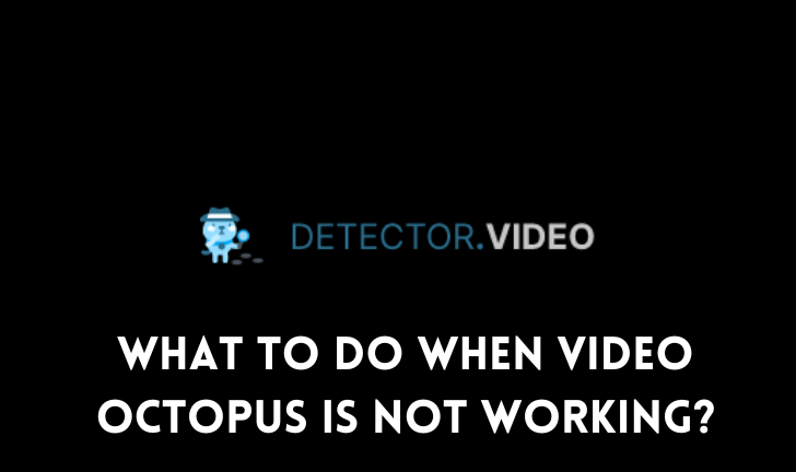 What To Do When Video Octopus Is Not Working?